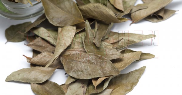 Bay Leaf | 100 gm/pkt