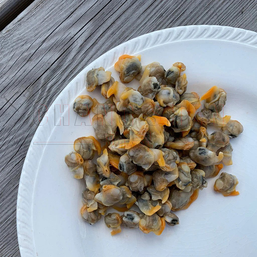 Cockle Meat 蜊肉 ± 700 GM/PKT
